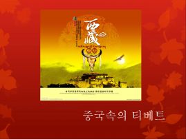 <중국속의 티베트(Tibet)> 티베트의 역사와 문화, 티베트의 중국귀속 배경, 티베트 독립운동과 각국의 입장, 중국 vs 티베트 대응, 달라이라마, 17개조 협의.pptx-1페이지