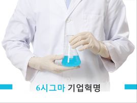 6시그마 기업혁명- 품질경영의 변화,품질경영,TQM과 6시그마,블랙벨트,브랜드마케팅,서비스마케팅,글로벌경영,사례분석,swot,stp,4p-1페이지