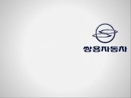 쌍용자동차- 기업분석,쌍용자동차 노사분쟁사례,쌍용자동차 옥쇄파업사례,쌍용자동차 해고,브랜드마케팅,서비스마케팅,글로벌경영,사례분석,swot,stp,4p-1페이지