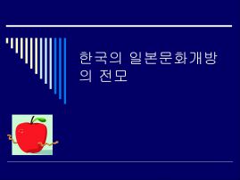 일본 대중문화 개방과 그 이후 PPT -1페이지