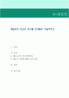 메슬로의 인간의 욕구를 단계별로 서술.-1페이지