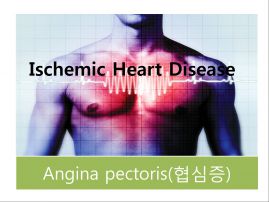 협심증(angina pectoris)간호과정 PPT-1페이지