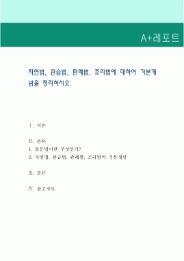 자연법, 관습법, 판례법, 조리법에 대하여 기본개념을 정리-1페이지