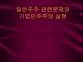 일반주주 관련문제와 기업민주주의 실현 -1페이지