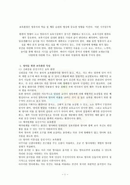 영유아프로그램개발과평가 report{영유아 보육환경 특성과 구성}-1페이지