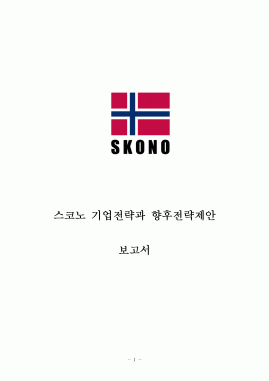 스코노 SKONO 기업분석과 한국시장진출 경영전략분석 및 스코노의 미래전략제안 레포트-1페이지