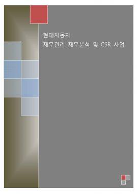 현대자동차 재무관리 재무분석 및 CSR 사업-1페이지