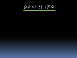 순천만 생태공원 (순천만 생태공원 경과, 정책참여자들의 가치관, 정책과정의 영향력 행사자, 정책 결정자들을 제한하는 환경).pptx-1페이지