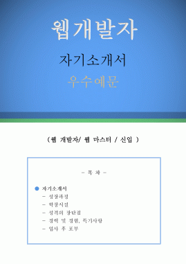 [웹개발자 자기소개서 우수예문](웹 개발자,웹 마스터,신입) 자소서 (웹마스터 자기소개서,웹제작자 자기소개서,웹프로그래머 자소서,웹개발자 자기소개서 합격예문,웹개발자 자소서 우수예문,잘쓴예,샘플-1페이지