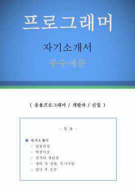 [프로그래머 자기소개서 우수예문] 프로그래머 (개발자,신입) 자소서 (응용 프로그래머 자기소개서,IT분야 자기소개서,시스템 프로그래머 자소서,개발자 자소서,프로그래머 합격예문,우수예문,잘쓴예,샘플)-1페이지