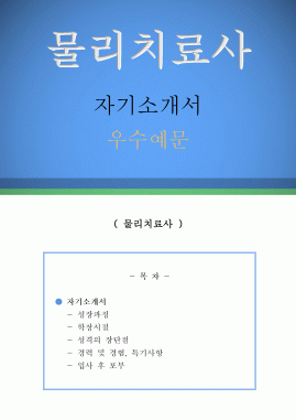 물리치료사 자기소개서 우수예문(물리치료사 자소서,종합병원 자기소개서,대학병원 자기소개서,재활의학과 자소서, 물리치료사 합격예문,우수예문, 정형외과 자소서 잘쓴예,샘플)-1페이지