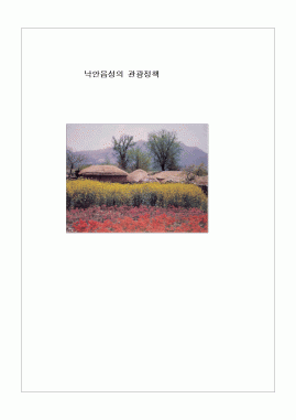 낙안읍성의 관광정책 -1페이지