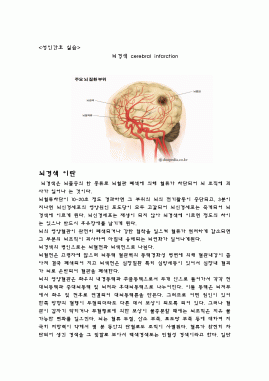 성인간호학 실습 - 뇌경색 (cerebral infarction) 조사-1페이지