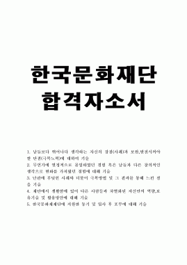 한국문화재재단 자소서 합격예문 한국문화재재단 지원동기, 차별화된 자신만의 역량,문화재 교육사업 기획운영 일반행정-1페이지