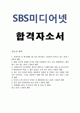 SBS미디어넷자소서 sbs미디어넷자기소개서 합격자소서, 자기소개서sbs미디어넷 드라마PD 자기소개서 SBS미디어넷 지원동기, SBS미디어넷 자소서항목 첨삭, 지원분야의 직무경험, 장래계획, 본인의 역할 및 10년 후 -1페이지