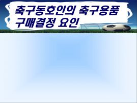 축구동호회 참여자의 특성과 용품 구매 행동분석.PPT -1페이지