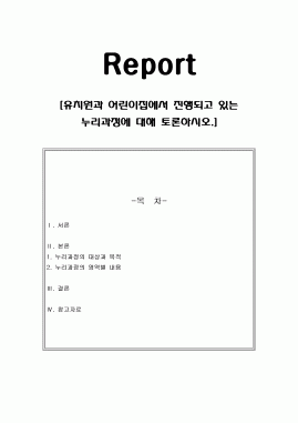 유치원과 어린이집에서 진행되고 있는 누리과정에 대해 토론.-1페이지