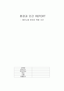 체르노빌 원자로 폭발 사건-1페이지