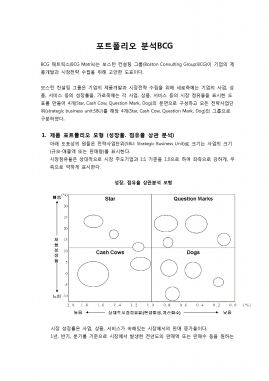 BCG 전략 인사이트_포트폴리오 분석 BCG-1페이지