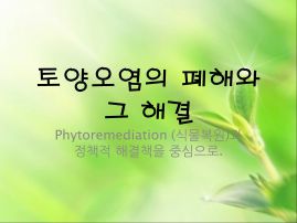 토양오염의 폐해와 그 해결 - Phytoremediation (식물복원)과 정책적 해결책을 중심으로.pptx-1페이지