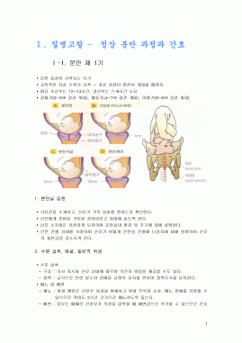 여성간호학실습 자연분만 질분만 NSVD 케이스스터디-1페이지