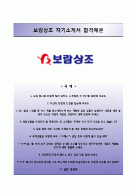 보람상조자소서,보람상조합격자기소개서,보람상조자소서항목-1페이지