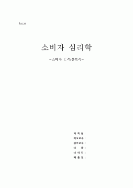 [소비자심리학] 1. 소비자의 만족/불만족 과정 두 가지 대표적 모형인 기대불일치 모형과 공평성 이론의 특징을 비교 2. 고객의 만족도를 높이기 위해 노력한 기업의 사례를 찾아보고 느낀 점-1페이지