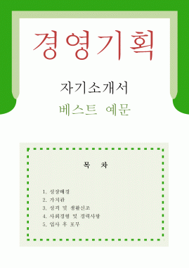 [경영기획 자기소개서 우수예문] 경영기획 자소서,경영분야 자기소개서,경영컨설턴트 자기소개서,경영지원,합격예문,자소서 샘플-1페이지