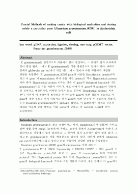 [유전자조작실습] Crucial Methods of making copies with biological replication and storing safely a particular gene (Fusarium graminearum_00385) in Escherichia coli-1페이지