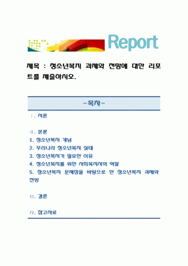 청소년복지 과제와 전망에 대한 리포트를 제출.-1페이지