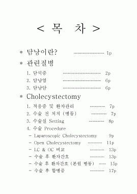 cholecystectomy (LC,OC) 담낭절제술 담낭적출술-1페이지