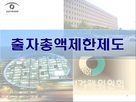 출자 총액 제한제도-1페이지