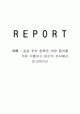 [공공부조 정책] 공공 부조 정책은 어떤 절차를 거쳐 시행되고 있는지 조사해서 보고하시오 - 공공부조제도, 국민기초생활보장제도(적용대상,급여,전달체계,재원,문제점 및 향후과제) -1페이지