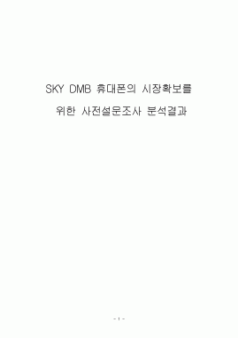 SKY DMB 휴대폰의 시장확보를 위한 사전설문조사 분석결과-1페이지