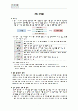 간호 리더십 (리더십 슈퍼리더십 셀프리더십) 간호 관리자의 유형, 간호 관리자 사례 및 분석, 간호 관리자의 리더십-1페이지