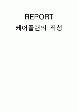 케어플랜의 작성 {정보수집, 제시된 문제, 과거 병력, 면접당시 클라이언트의 모습, 개인력, 가족배경, 심리․사회적 환경적 문제, 강점과 약점, 이용자원 체계, 케어의 목표, 치료의 계획}-1페이지