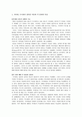 이라크 종교분쟁 {시아파, 수니파가 갈라진 이유와 각 분파의 특징)-1페이지