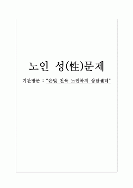 노인 성(性)문제 (기관방문 -“은빛 전북 노인복지 상담센터”) -1페이지