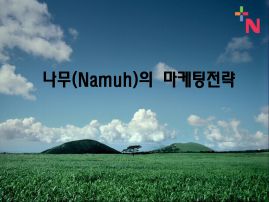 나무(Namuh)의 마케팅전략-1페이지