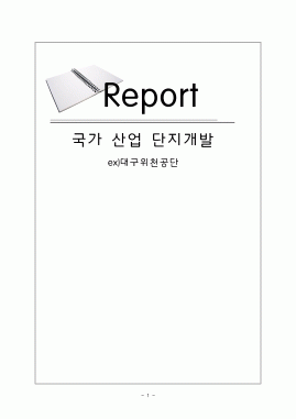 국가 산업 단지개발 ex)대구위천공단-1페이지