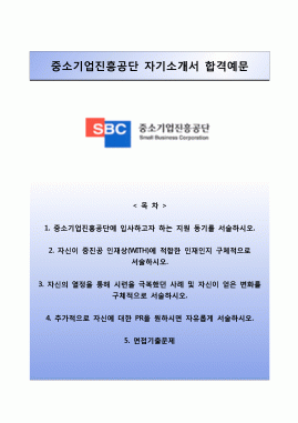 [중소기업 진흥공단자기소개서] 중소기업진흥공단 청년인턴 합격자소서와 면접족보-1페이지