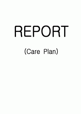 Care Plan-1페이지