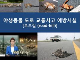 야생동물 도로 교통사고 예방시설[로드킬(road-kill)]-1페이지