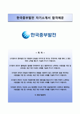 {우수 합격 베스트 Resume} [한국중부발전 韓國中部發電 자기소개서] 한국중부발전 (인턴사원) 자소서 *면접족보 [한국중부발전자기소개서한국중부발전자소서] 우수 이력서 추천 리포트
-1페이지