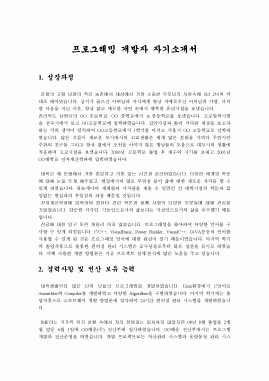 프로그래밍 개발자 자기소개서 : 프로그래머 자소서 이력서 레포트 견본, 샘플 RESUME-1페이지