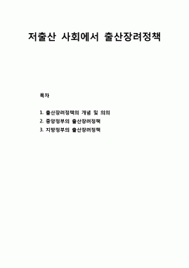 저출산 사회에서 출산장려정책(出産奬勵政策) - 출산장려정책의 개념 및 의의, 중앙정부와 지방정부의 출산장려정책-1페이지