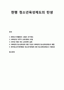 [청소년육성제도론 青少年育成制度論] 현행 청소년육성제도의 탄생(과거제도, 교육개혁의 좌절과 실패, 한국청소년기본계획과 청소년기본법에 의한 청소년육성제도의 수립과정, 수립경과)-1페이지