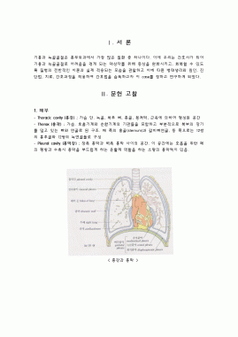 [성인간호학] 기흉 케이스 Pneumothorax CASE STUDY-1페이지