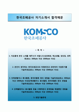 [BEST 베스트 합격 자기소개서] [한국조폐공사 韓國造幣公社 자기소개서] 한국조폐공사 청년인턴 자소서 ＋면접족보 [한국조폐공사자기소개서한국조폐공사자소서] Resume-1페이지