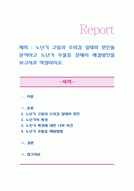 노년기 고립과 소외감 실태와 원인을 분석하고 노년기 우울증 문제의 해결방안을 보고서로 작성.-1페이지